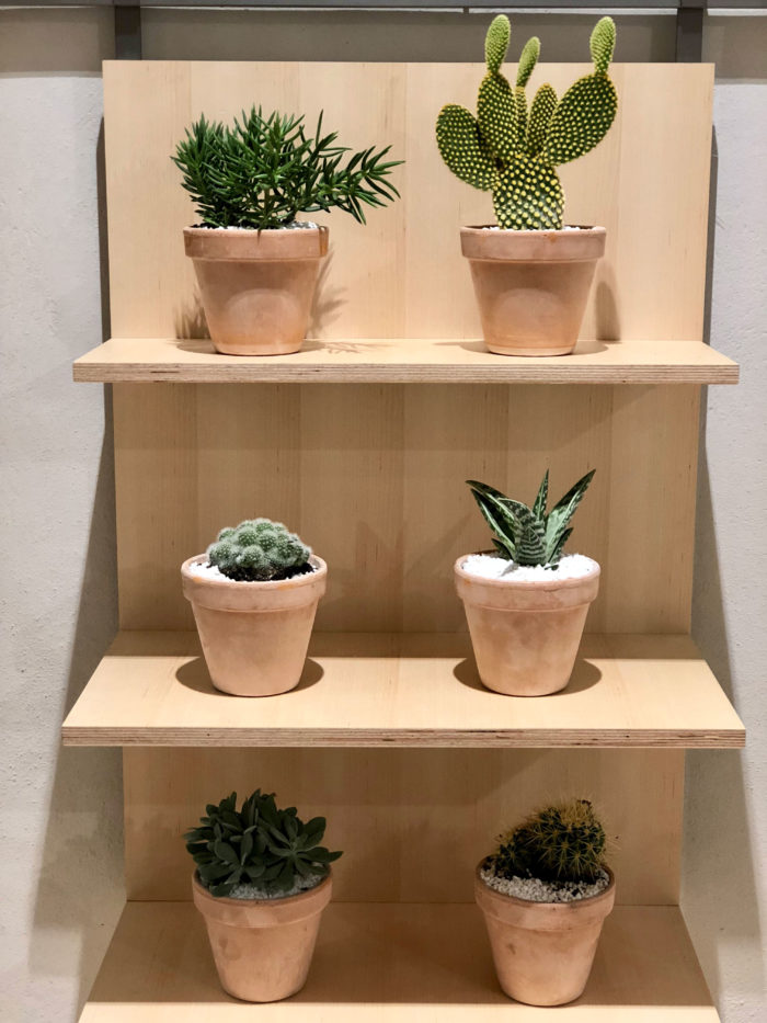 Brontie révolutionne la livraison de fleurs à Lyon